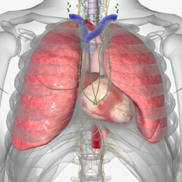 Human Anatomy and Disease in Interactive 3D | BioDigital Human Platform