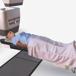 Human Anatomy and Disease in Interactive 3D | BioDigital Human Platform